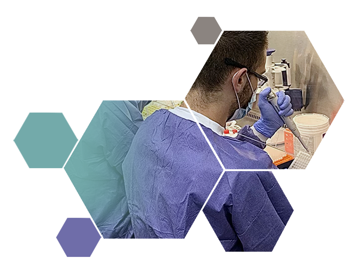 GIT Testing | Infectious Disease Testing