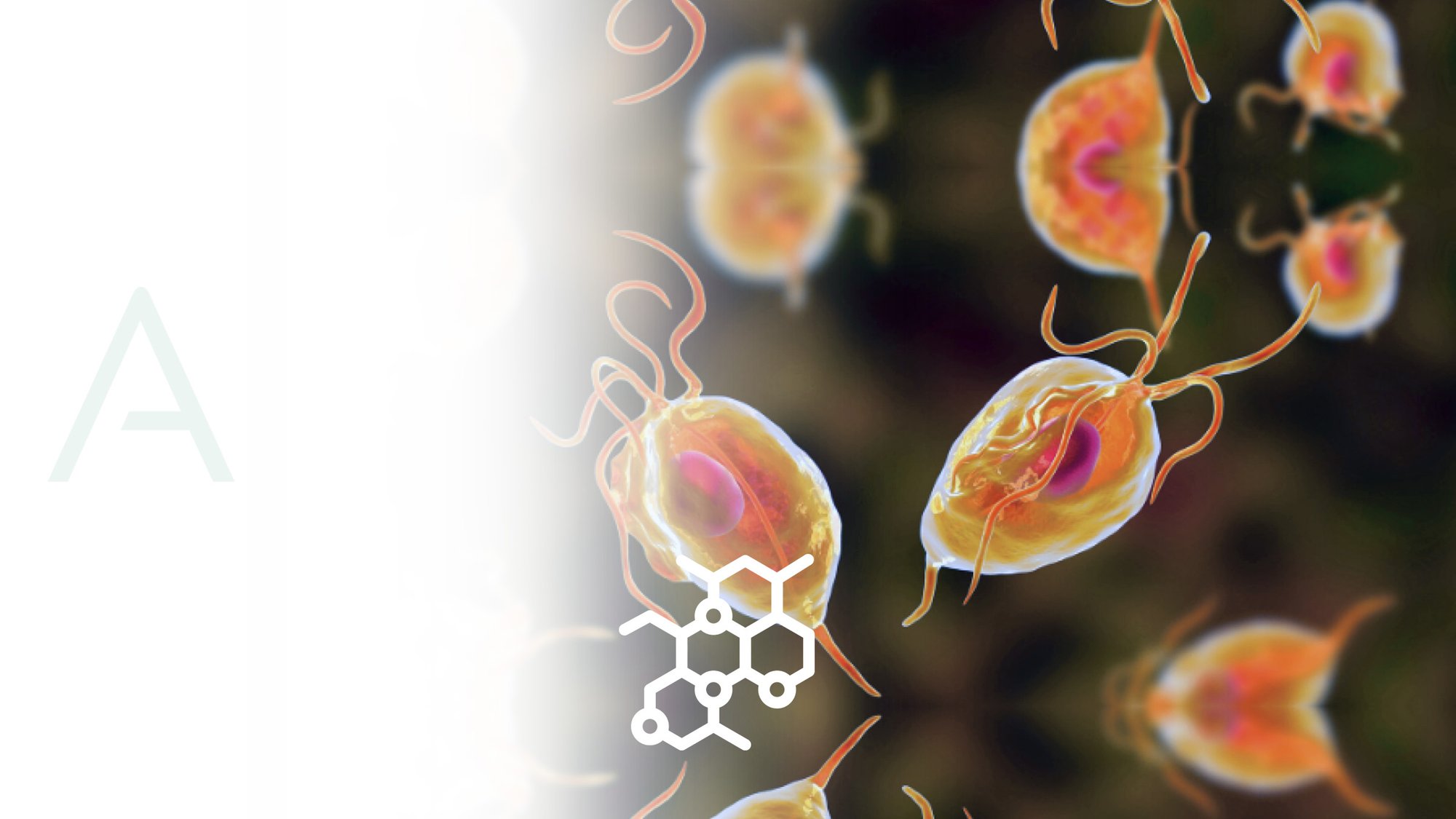 STI Testing | Infectious Disease Testing