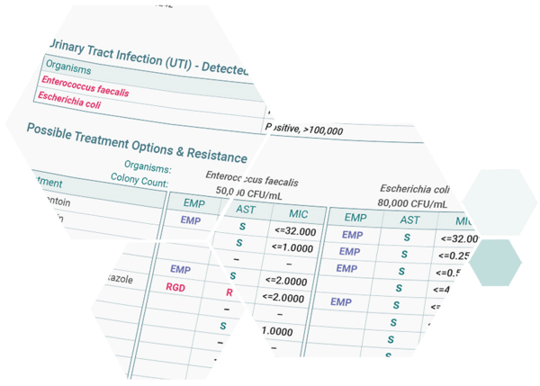 Clinical diagnostics 728 Patient Report | Lab Testing Results