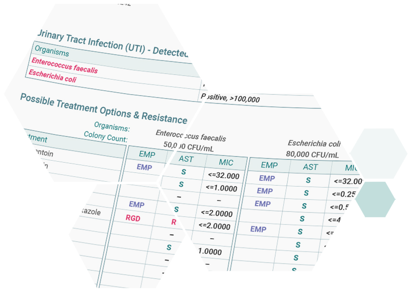 Clinical diagnostics 728 Patient Report | Lab Testing Results